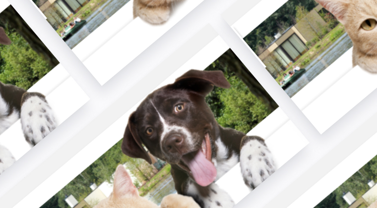 Center Parcs & Pets Place - Happy Horizon